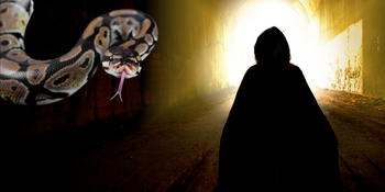 The Python Spirit: Biblical Meaning and Divination – Humble & Faithful Co.